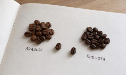 Differenza tra Arabica e Robusta: gusto e qualità
